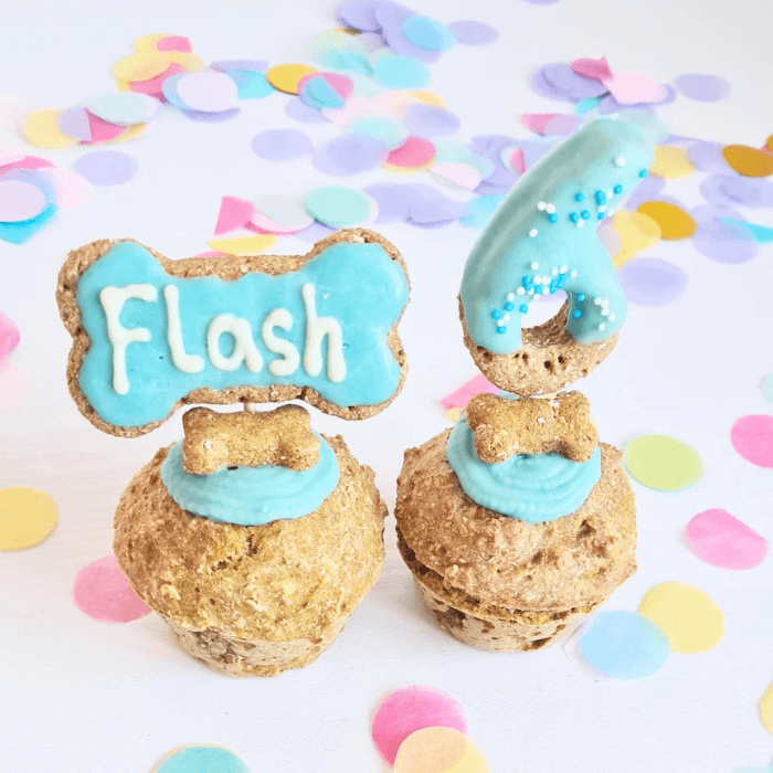 Dog Cake Birthday Set Blue – pupcakesdogbakery